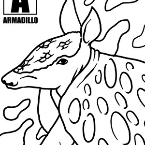 Alphabet Workbook With Coloring Pages - Etsy