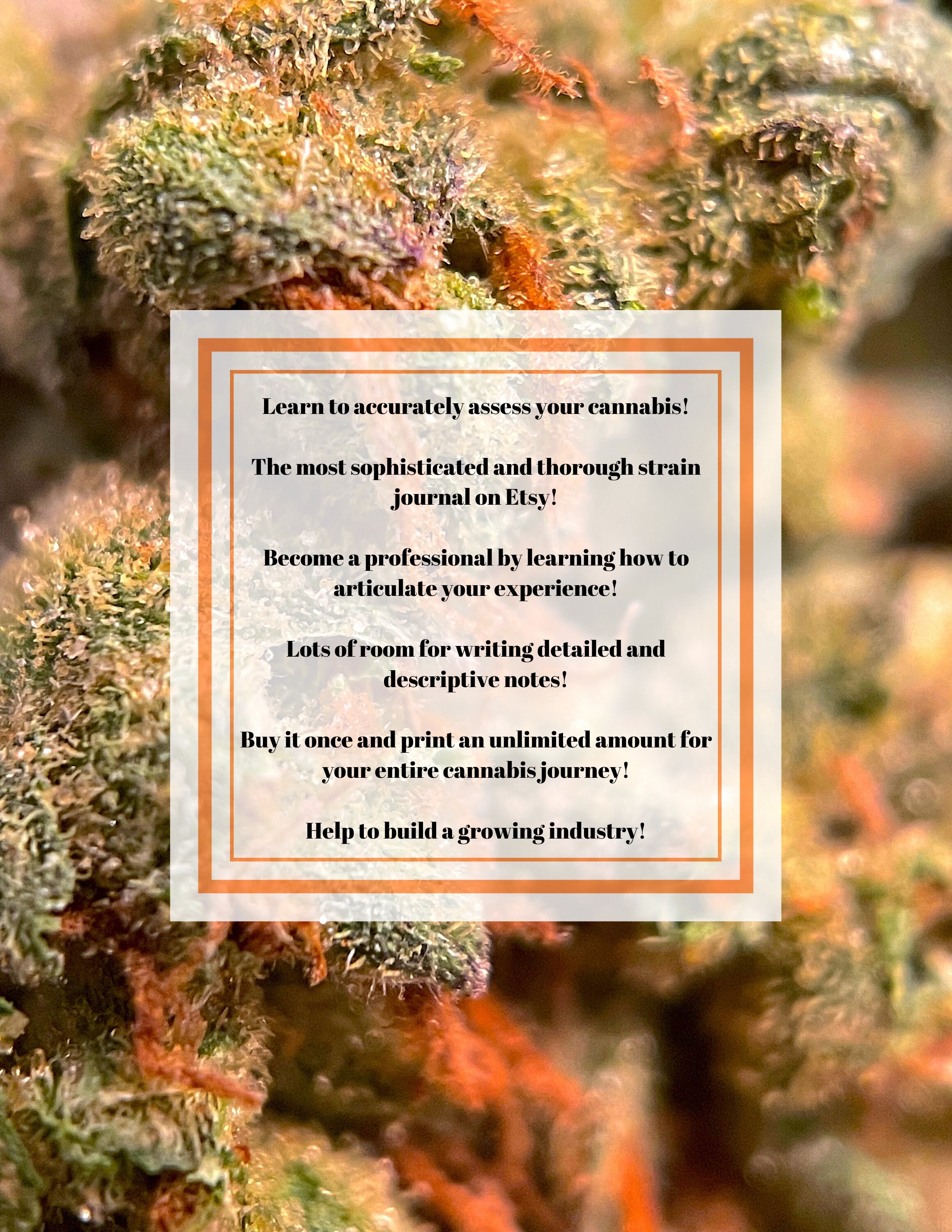 Professional Cannabis Cultivar Template (printable) - Strain Reviews ...
