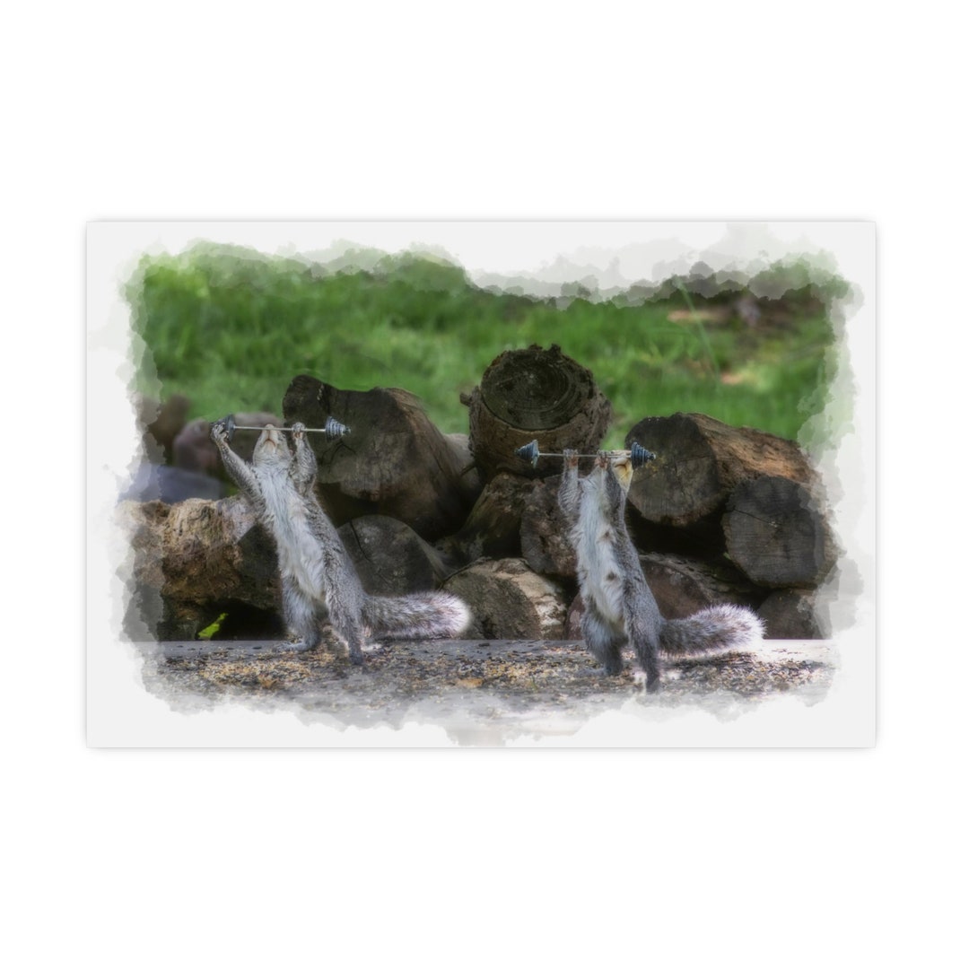 Horizontal Matte 24x16 Poster, Party Animals, Humor Animal, Squirrel ...