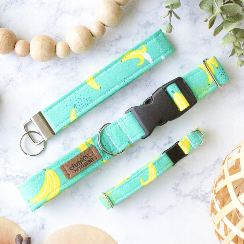 Spring Dog Collar - Etsy