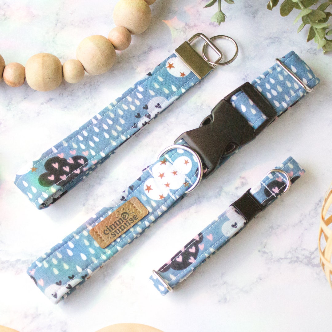 Moody’s Point | Rain Cloud Dog Collar, Cute Modern Breakaway Cat Collar ...