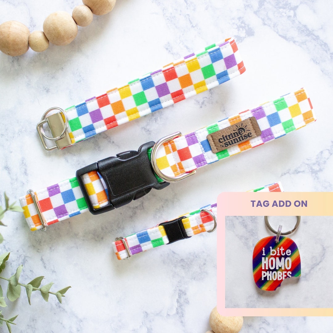 Sk8r Boi | Rainbow Checkered Print Dog Collar, LGBT Pride Breakaway Cat ...