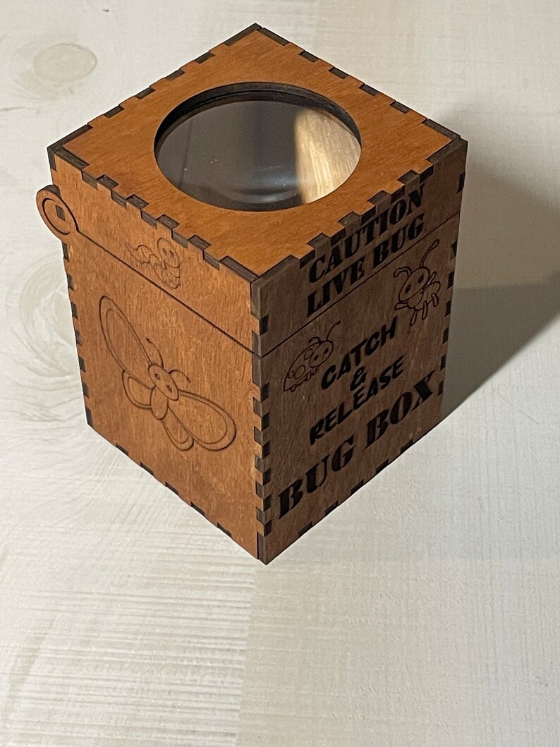 Catch & Release Bug Box SVG - Etsy