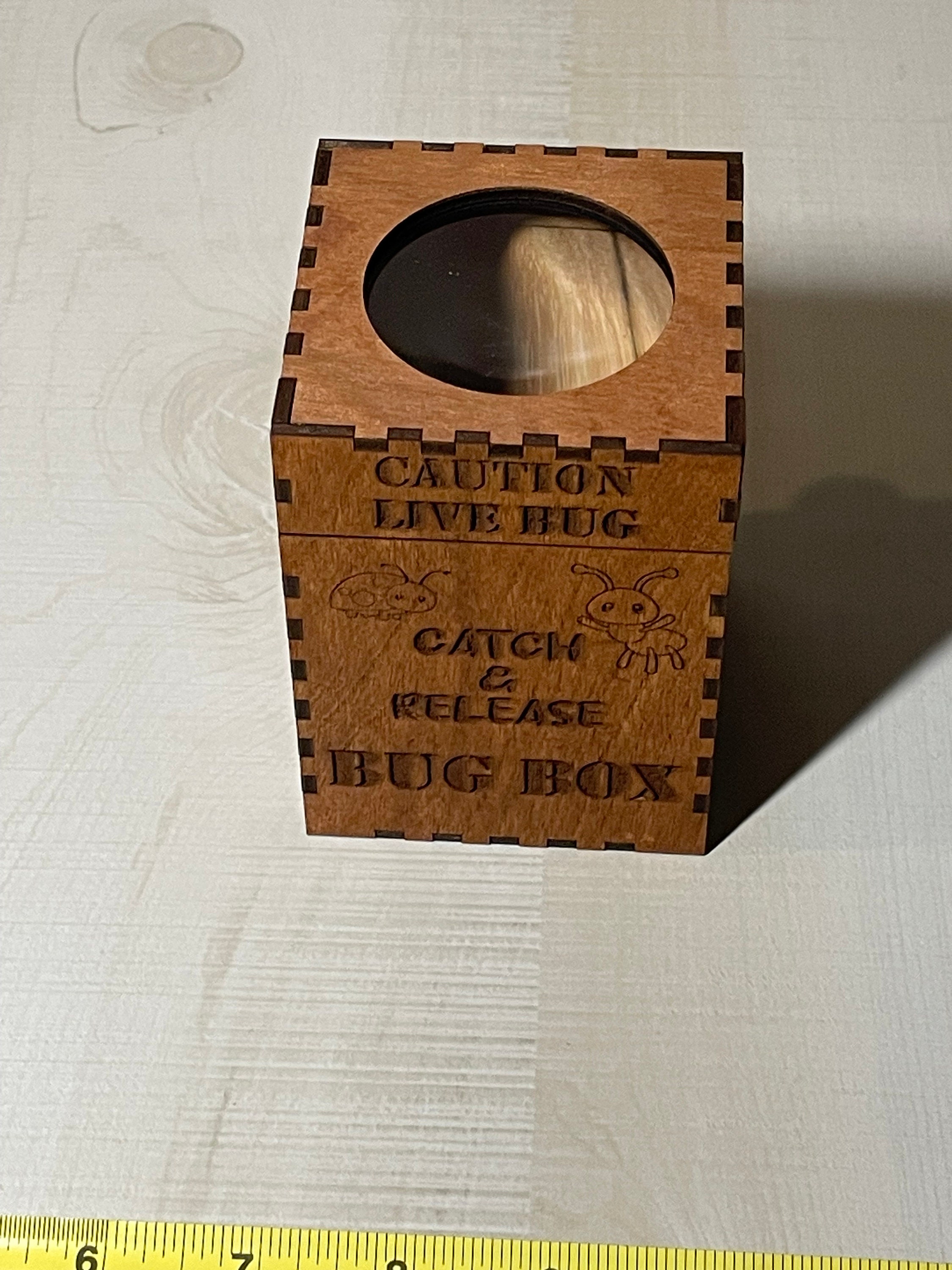 Catch & Release Bug Box SVG - Etsy