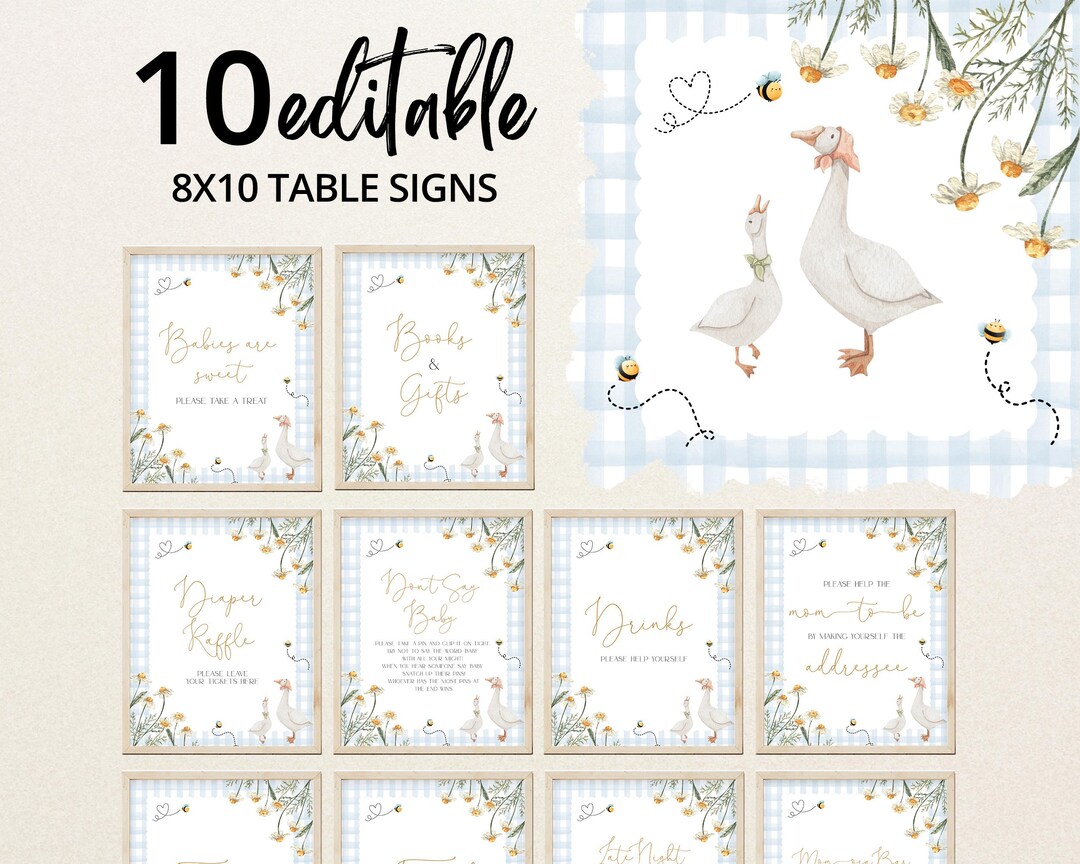 Editable A New Silly Goose Baby Shower Table Sign, Daisies Goose Babies ...