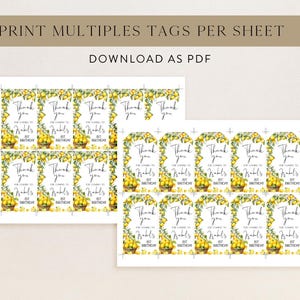 Editable Our Main Squeeze Lemon Birthday Favor Tag, Lemon Birthday ...