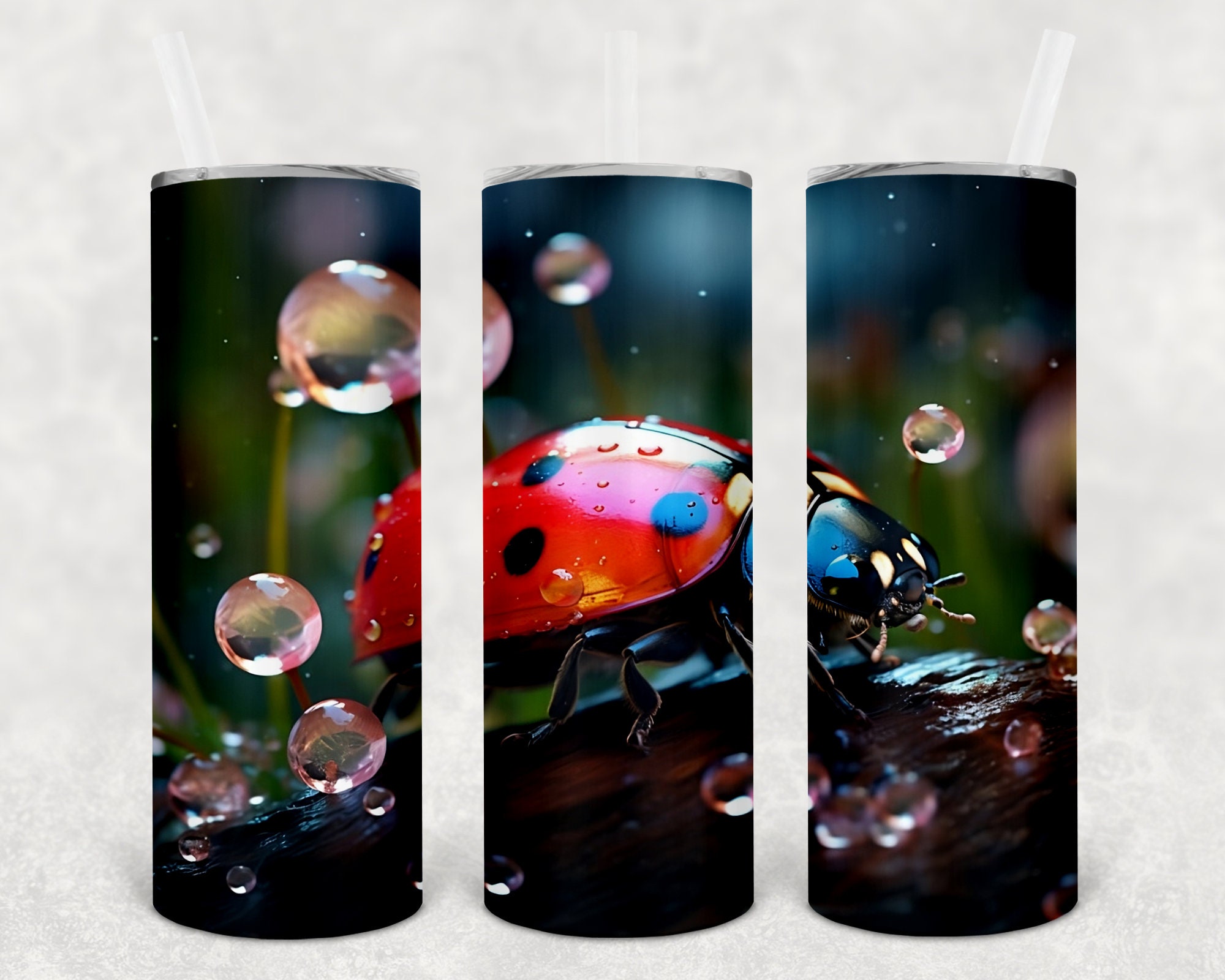 Ladybug Bundle PNG Only - Etsy