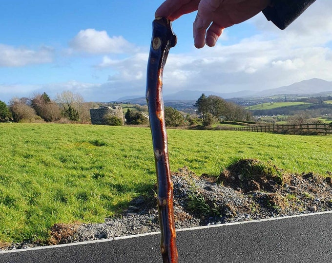 A Beautiful Handcrafted Irish Walking Stick Made From Sustainably ...