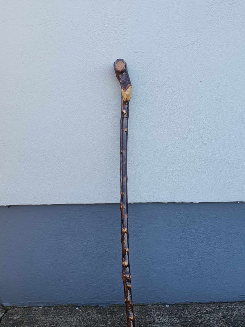 A Beautiful Handcrafted Irish Walking Stick Made From Sustainably ...
