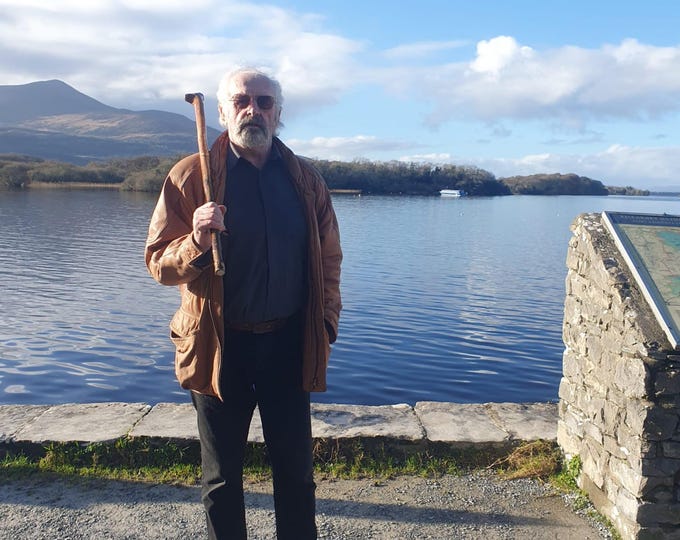 Handcrafted Irish Holly Walking Stick - Natural Bark Finish, 37" - Etsy
