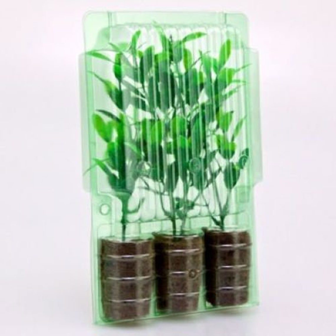 3 Plant Shipping Container - 3 Pack - Clone Shipper - Free Shipping ...