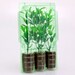 3 Plant Shipping Container - 3 Pack - Clone Shipper - Free Shipping ...