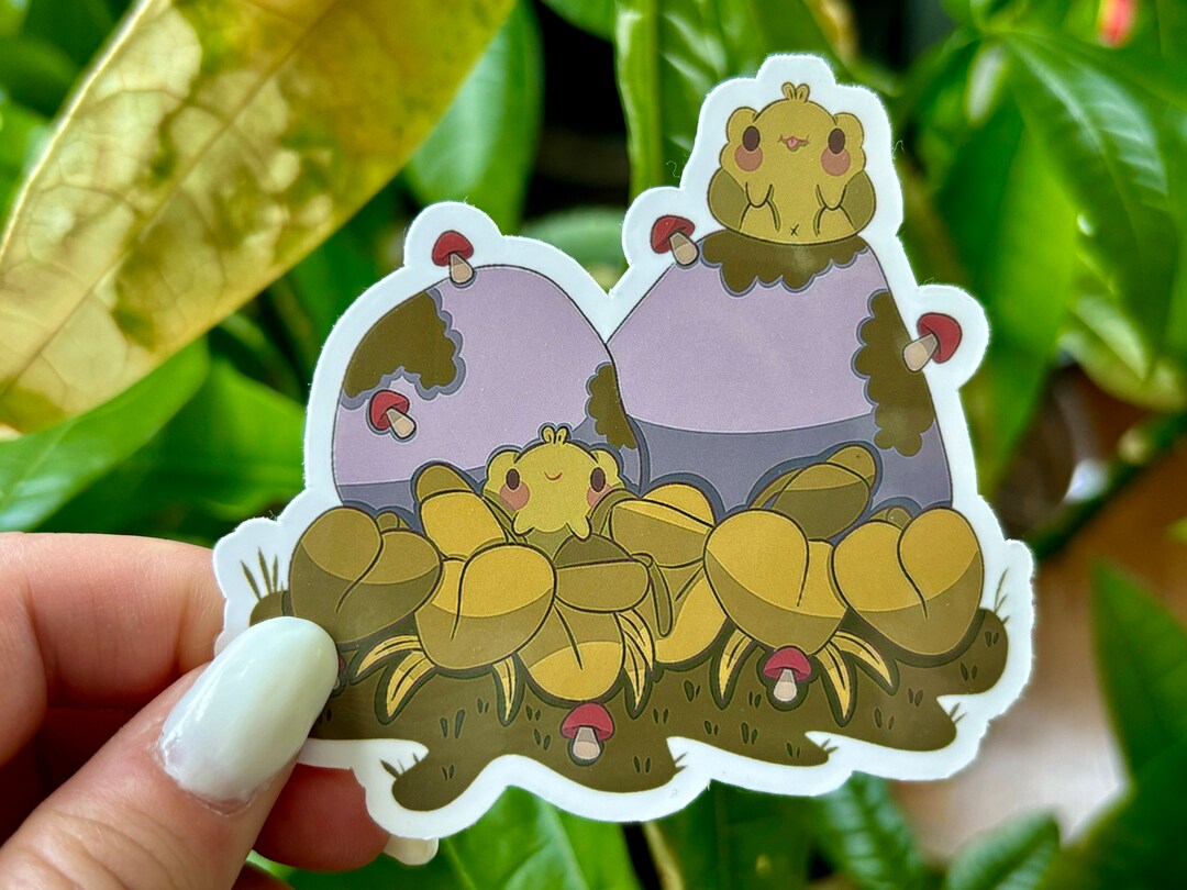 Frog on Rocks Vinyl Sticker | Waterproof Laptop Decal - Etsy
