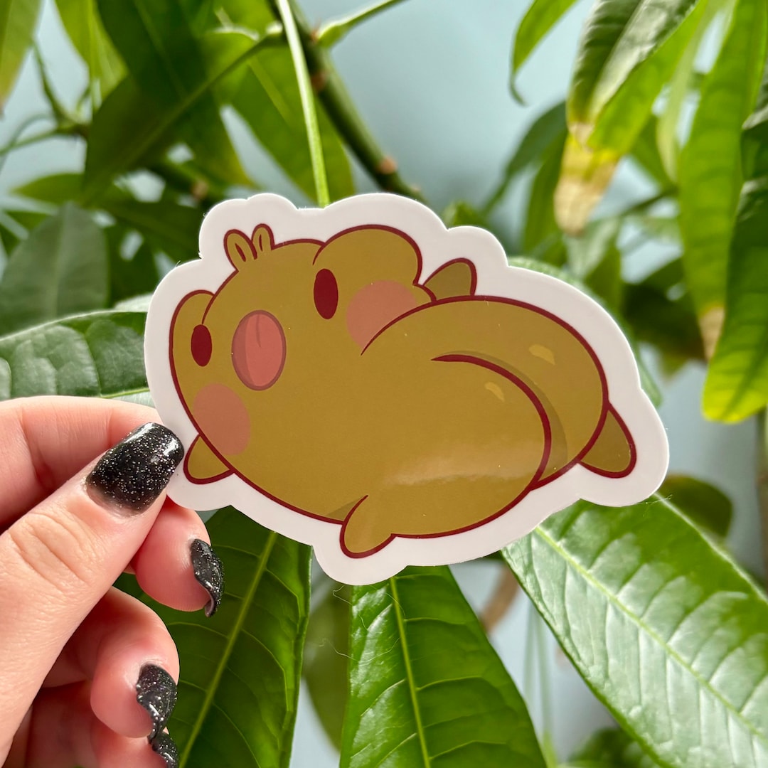 Frog Butt Sticker, Double Cheeked Up, Frog Tush Sticker, Big Booty Club ...