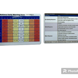 News 2 & GCS Score Card - Etsy