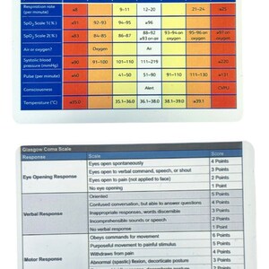 News 2 & GCS Score Card - Etsy