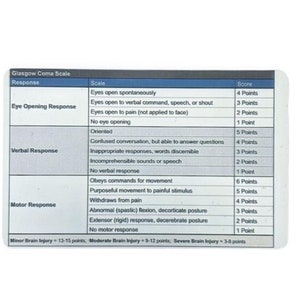 News 2 & GCS Score Card - Etsy