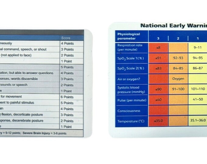 SBAR & Glasgow Coma Scale Badge Card for Student Nurses, Medical ...