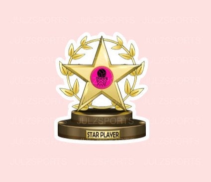 Fun Netball Stickers 20 to Choose From - Etsy UK