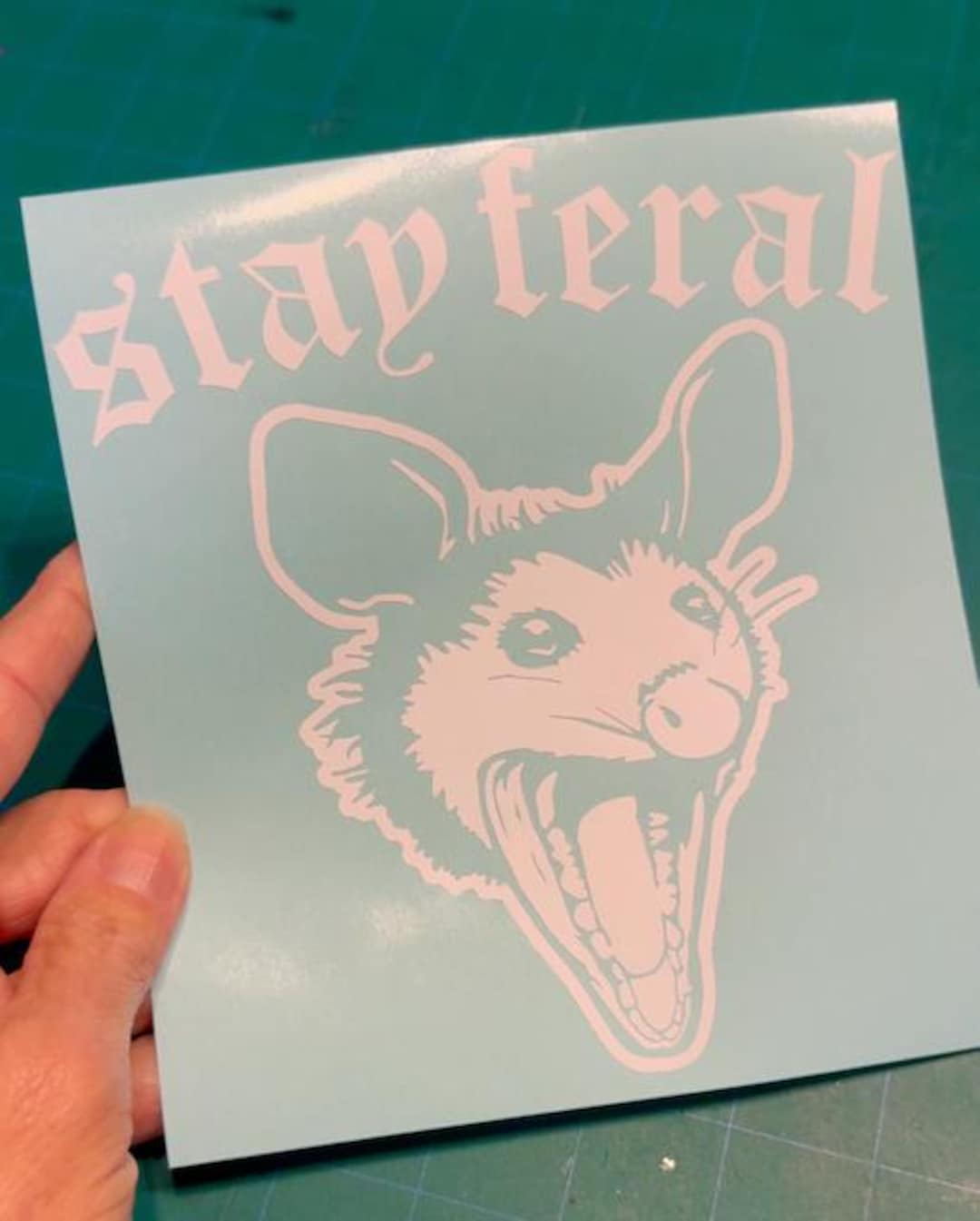 Stay Feral Screaming Opossum Decal - Vinyl Car Truck Laptop Decals ...