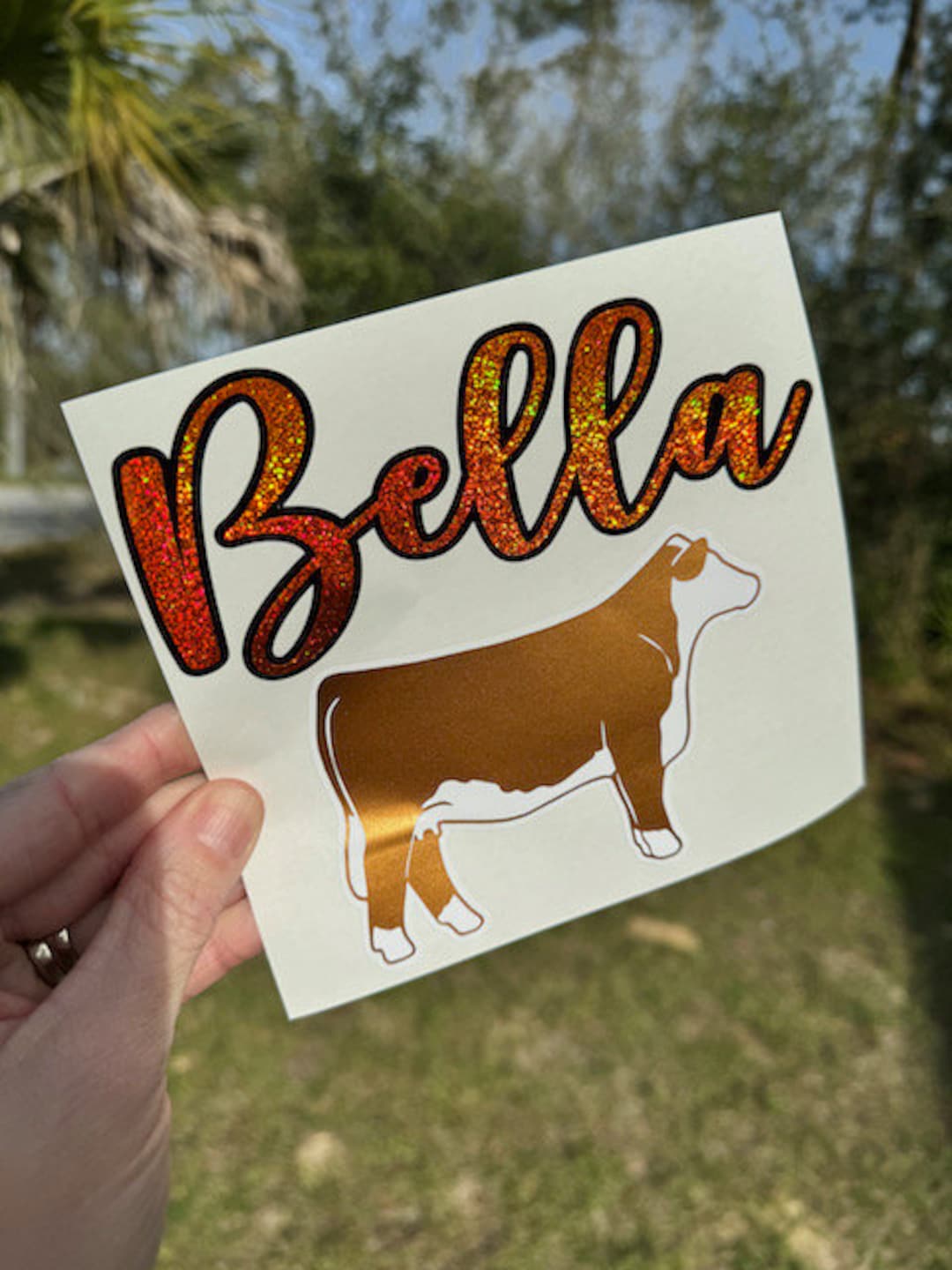 Custom Heifer Name Decals - Hereford Heifer - Show Cow Stickers ...