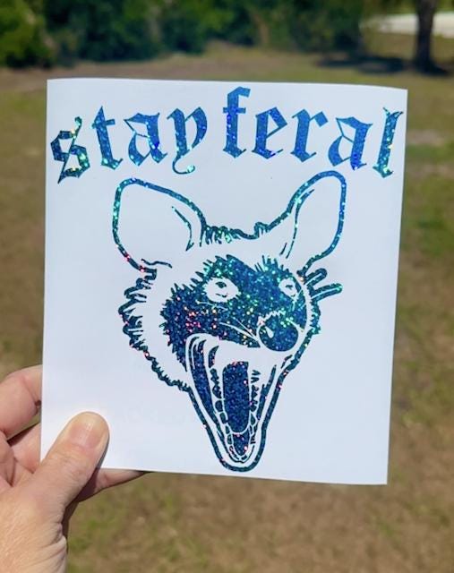 Stay Feral Screaming Opossum Decal - Vinyl Car Truck Laptop Decals ...
