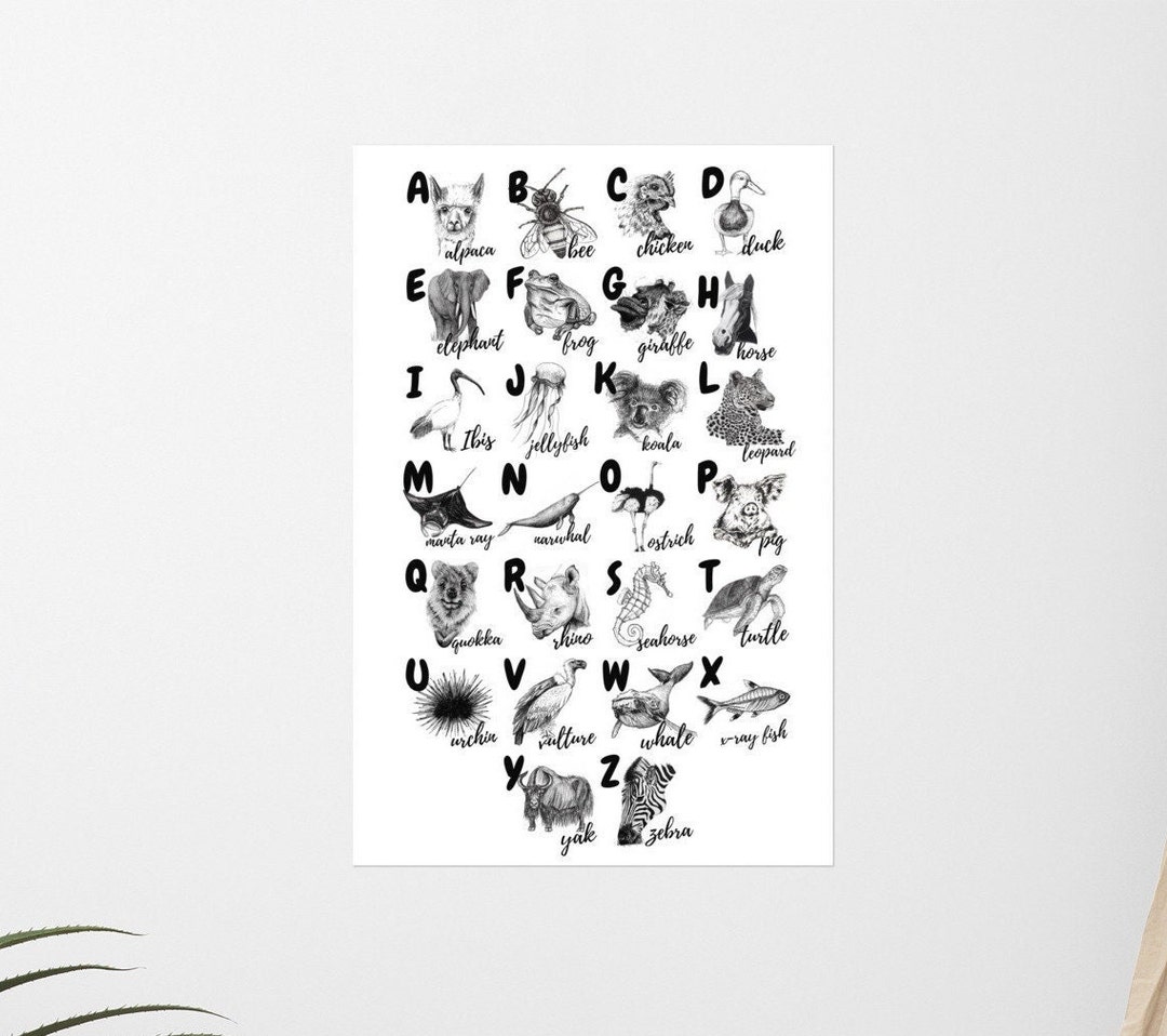 Animal Alphabet Poster - Etsy