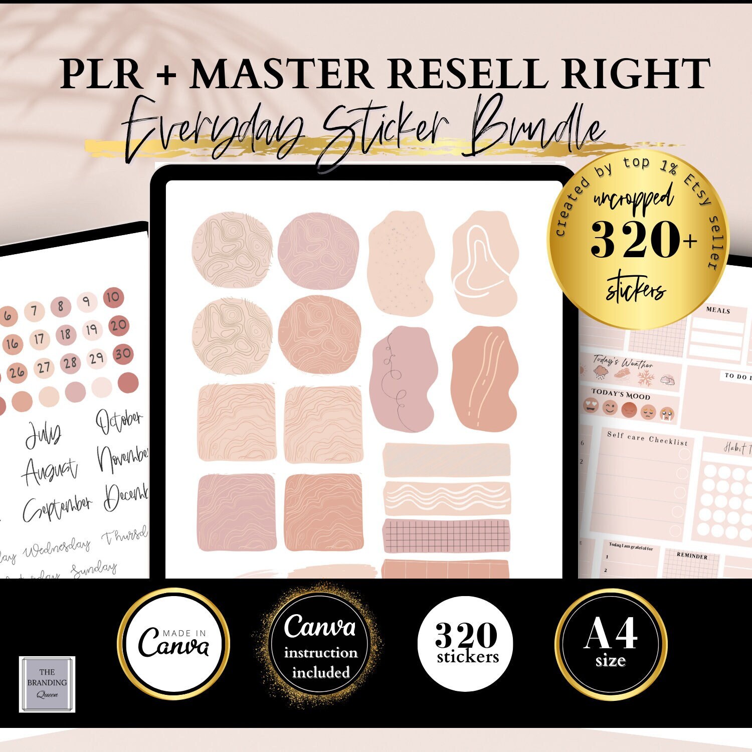 PLR Digital Stickers Commercial Use Canva Editable MRR PNG Sticker for ...