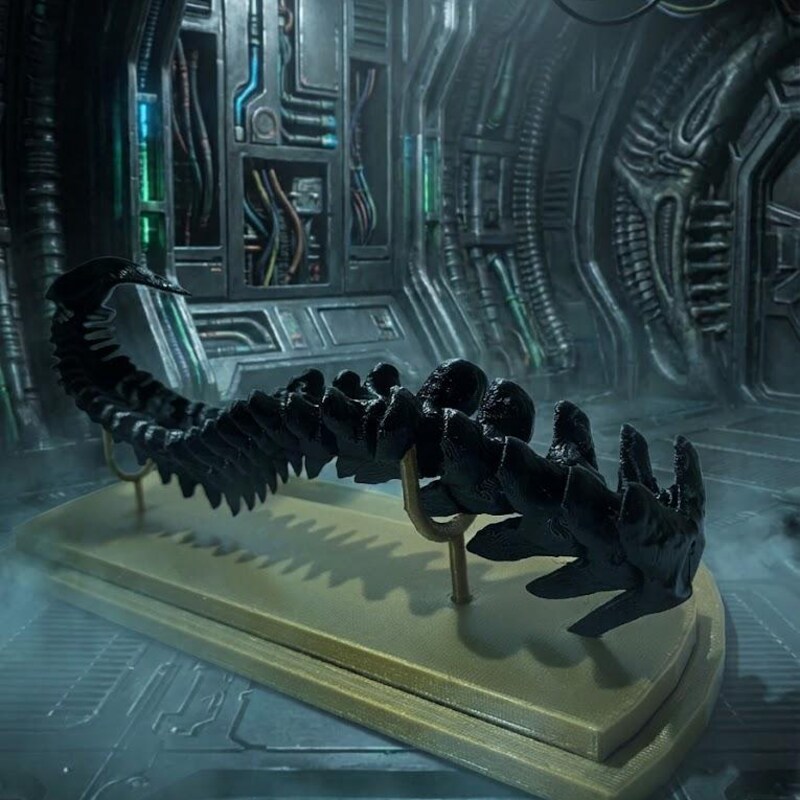 Xenomorph Costume - Etsy