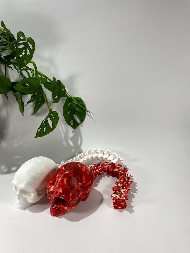 Predator Skull Trophy With Bloody Spine Set - 34cm Alien Hunter Replica ...