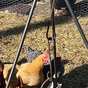 Campfire Tripod/ Chicken Water Container Holder. - Etsy