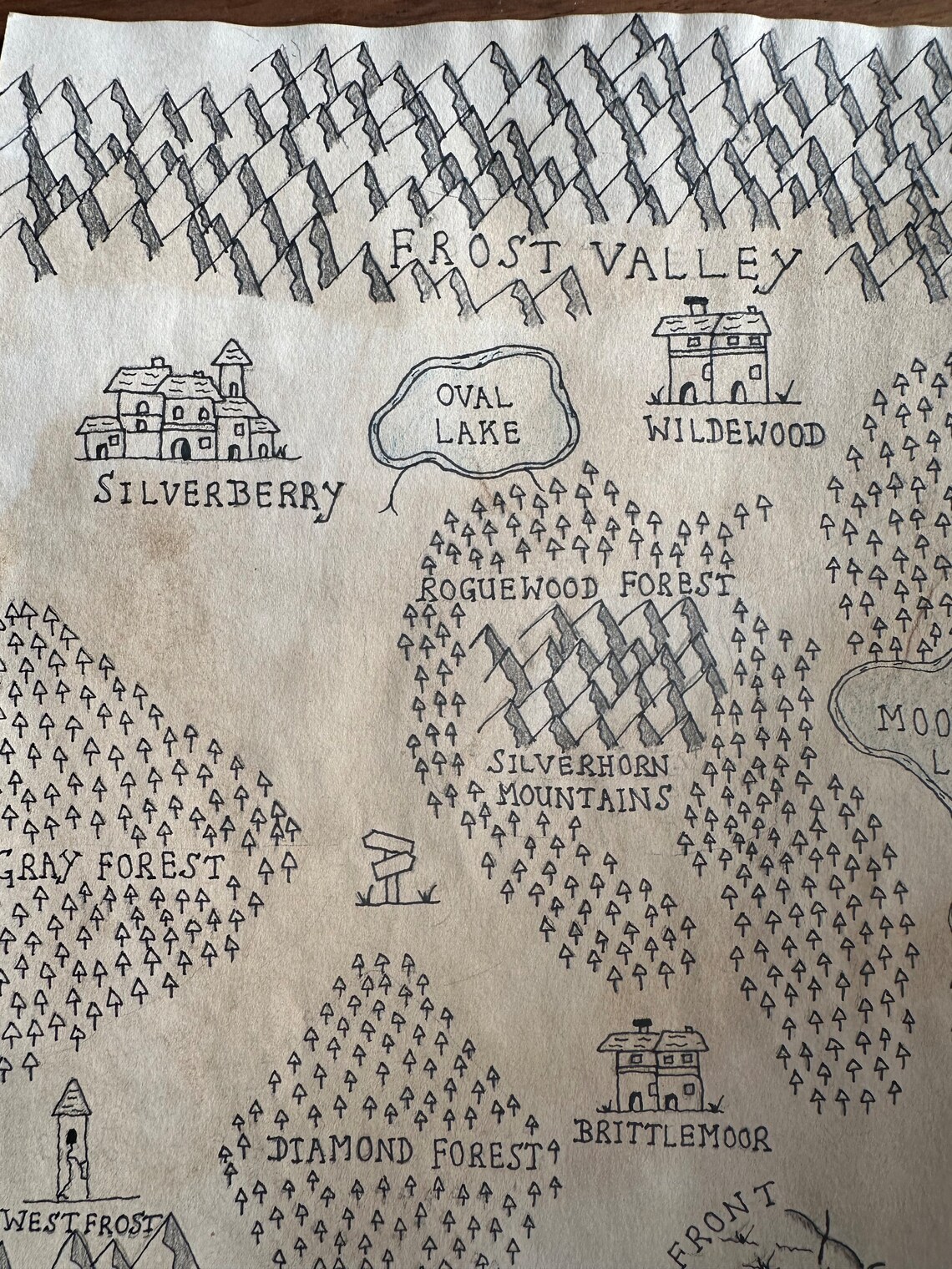 Dungeons and Dragons Custom Hand Drawn Campaign Map - Etsy