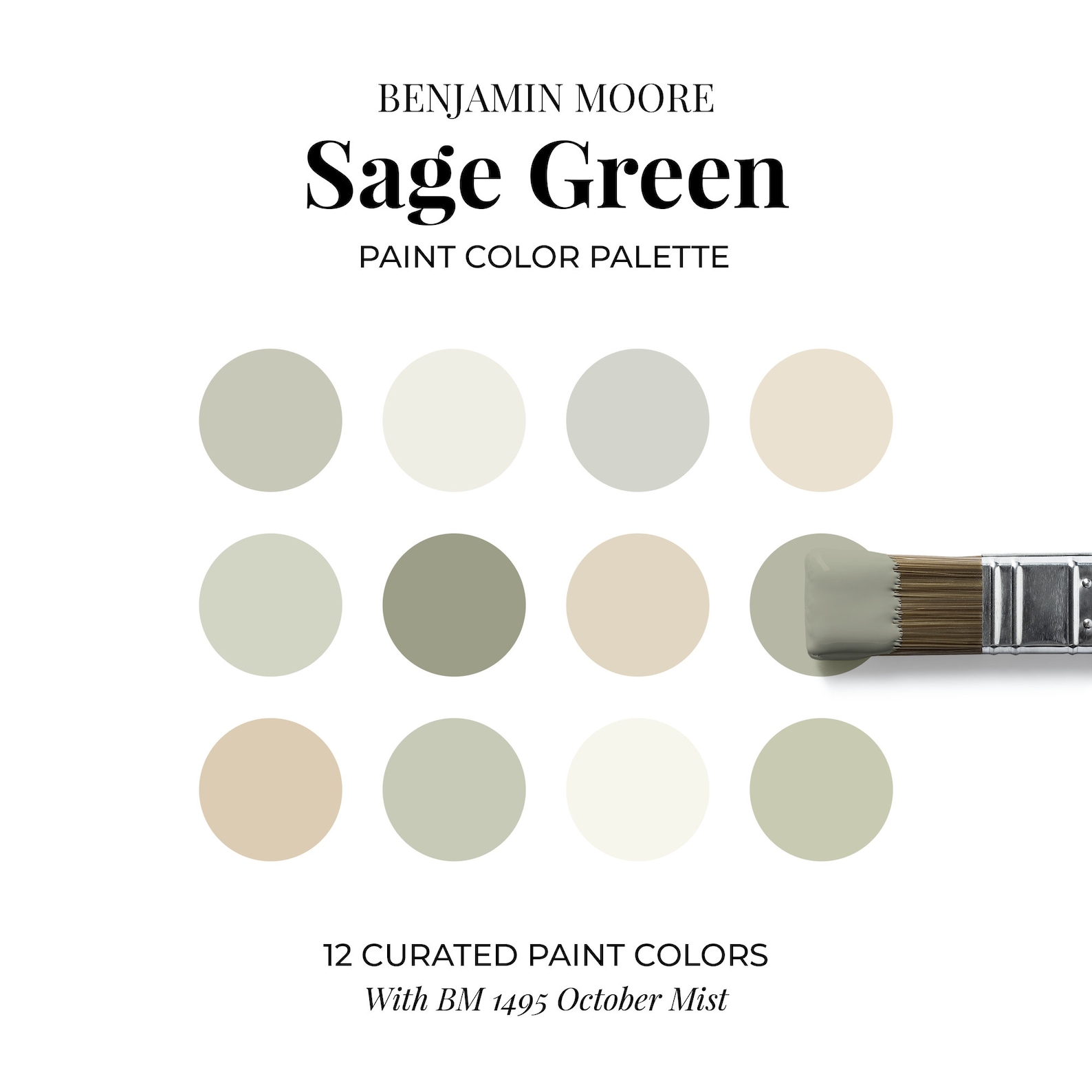 Benjamin Moore SAGE GREEN Whole House Paint Color Palette for - Etsy