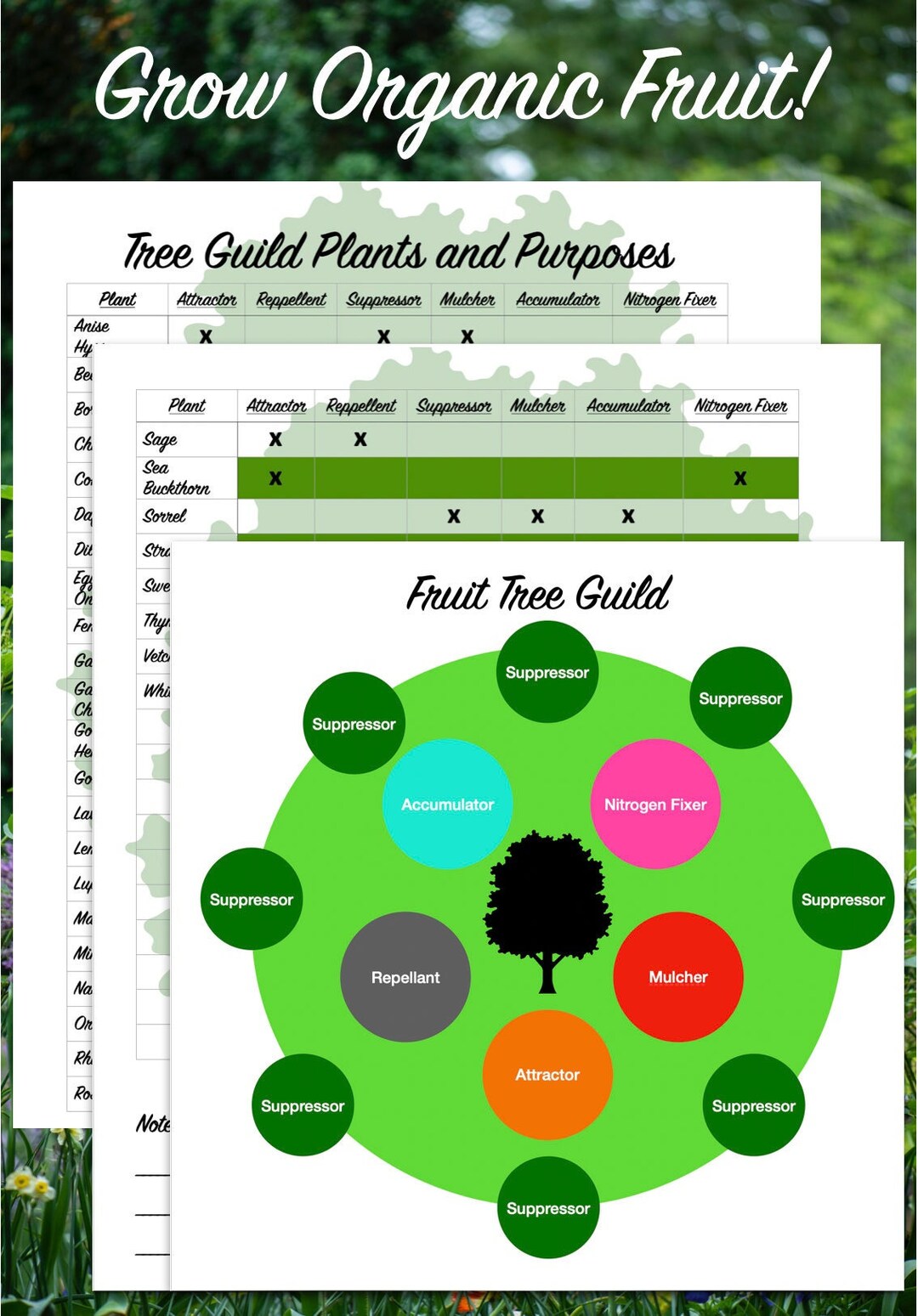 Fruit Tree Guild Planner, Edible Landscape Design, Fruit Tree Planting ...