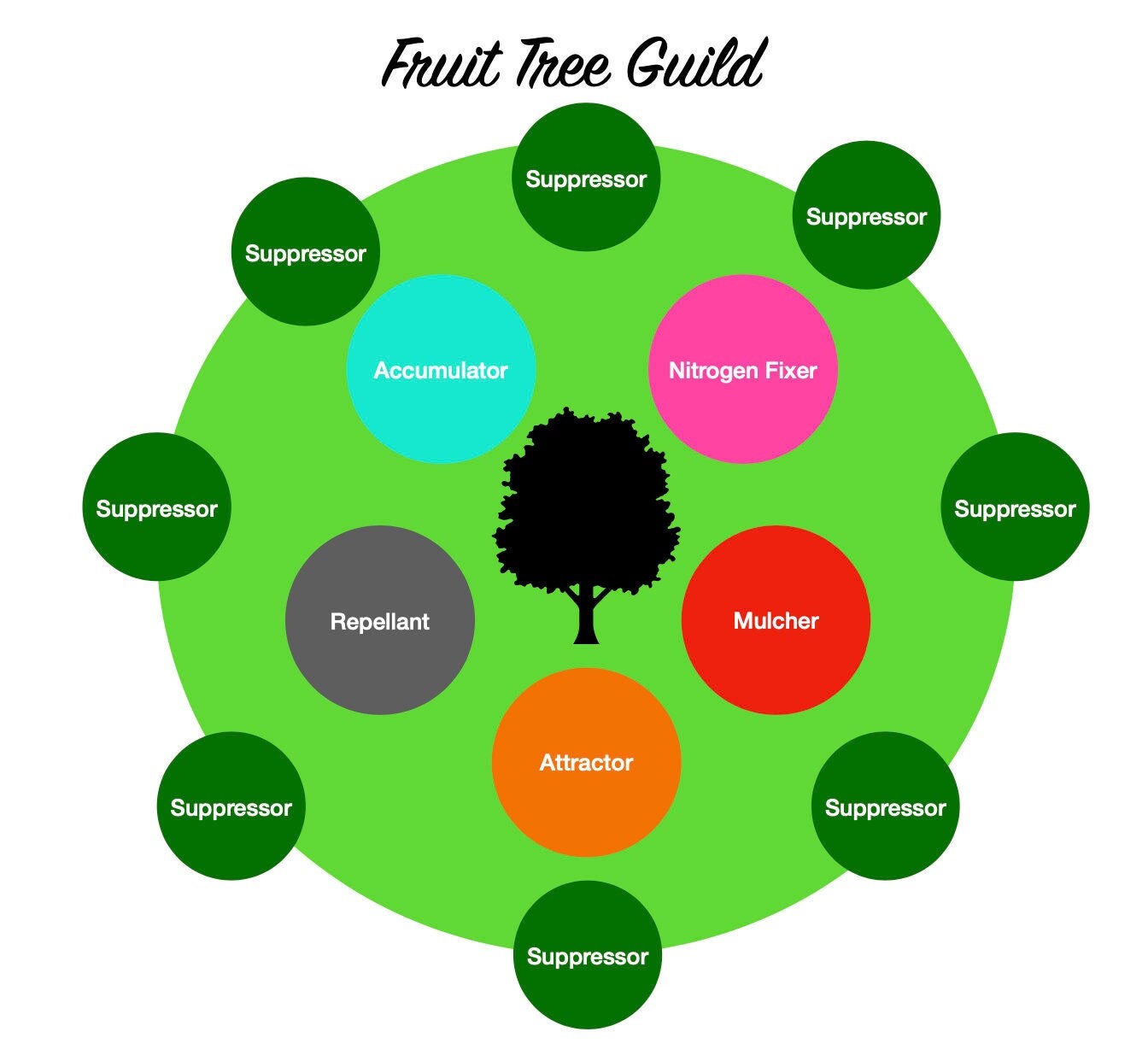 Fruit Tree Guild Planner, Edible Landscape Design, Fruit Tree Planting ...