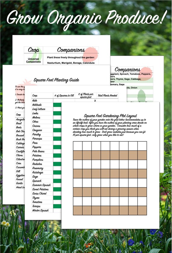 Square Foot Garden Companion Planting