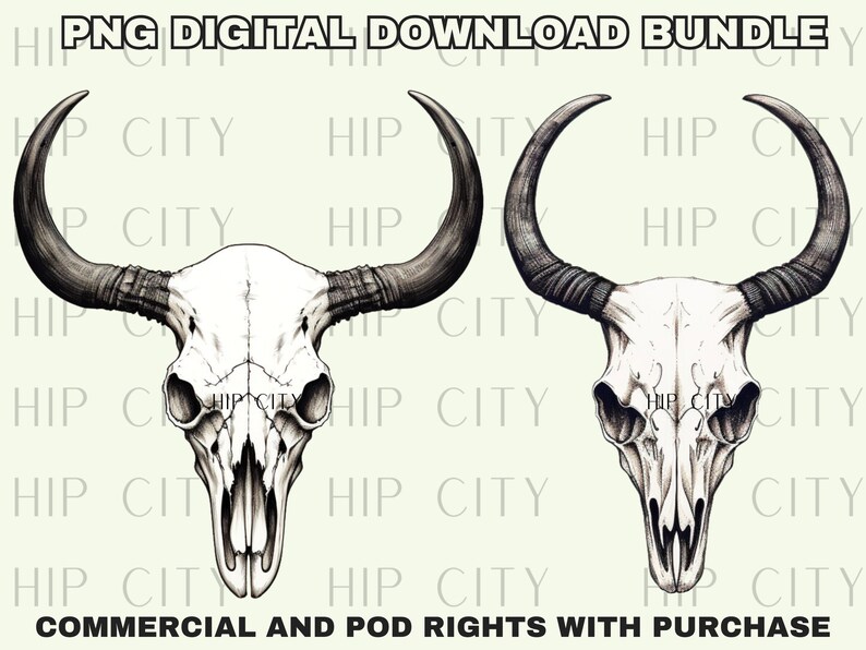 Bundle Texas Longhorn Cow Skull PNG Longhorn Bull Skull PNG Cow Skull ...