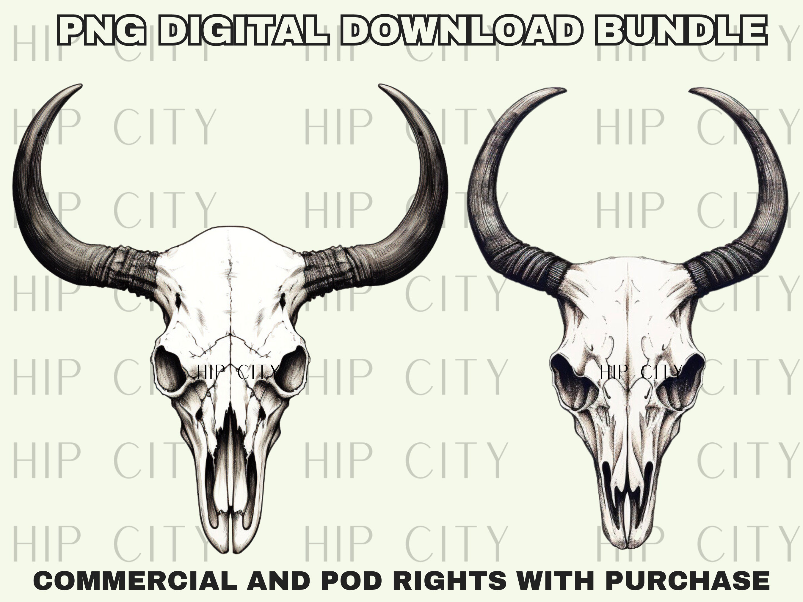 Bundle Texas Longhorn Cow Skull PNG Longhorn Bull Skull PNG Cow Skull ...