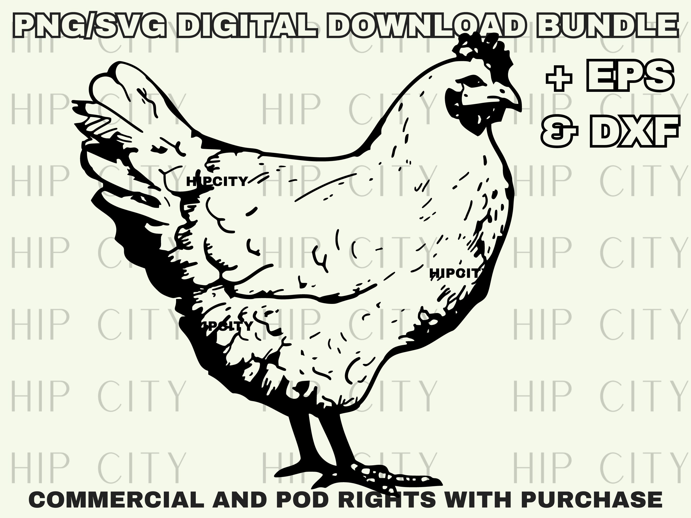 Chicken SVG Chicken PNG Chicken SVG Files for Cricut Chicken Svg Bundle ...