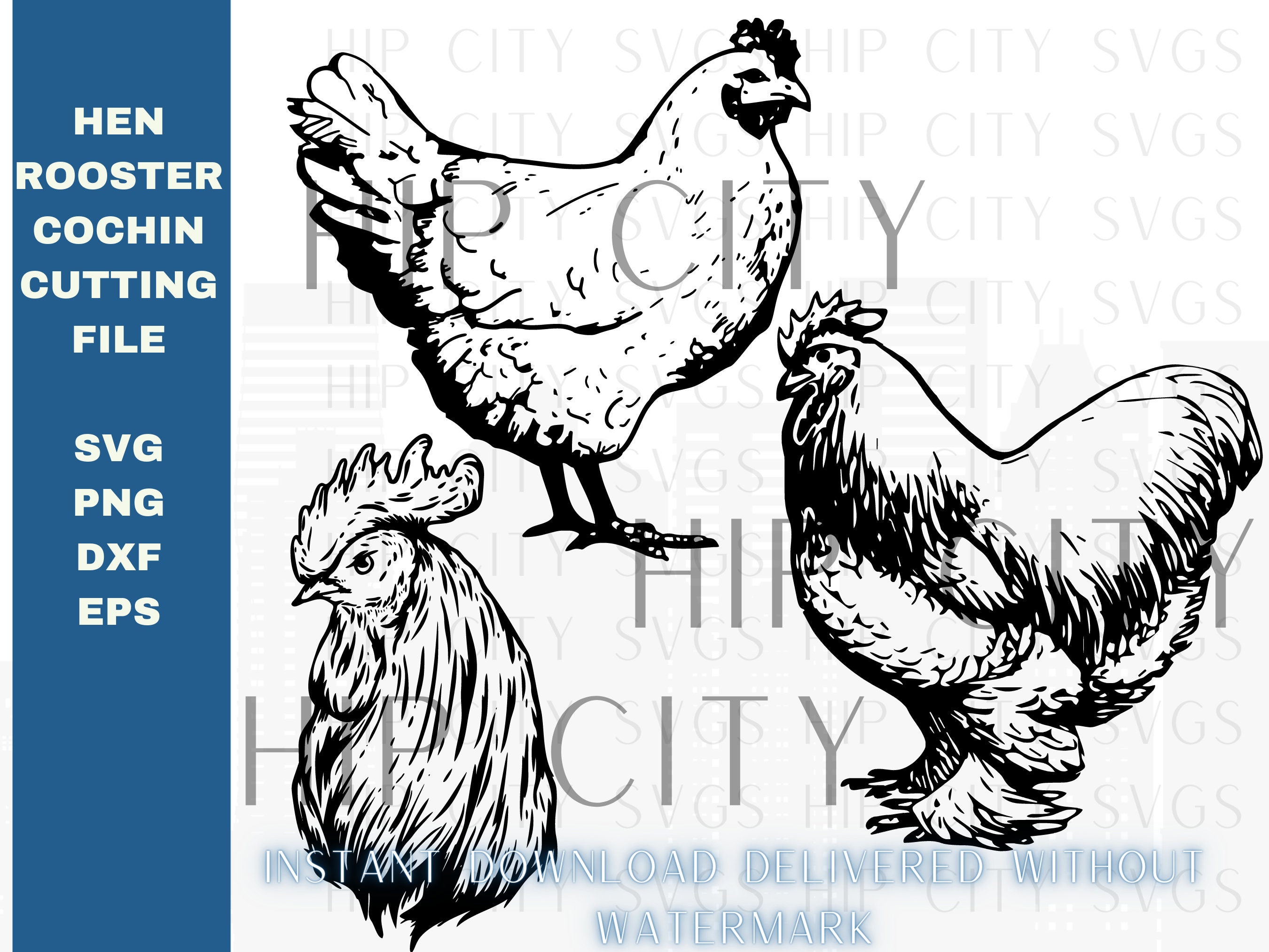 Chicken SVG, Chicken SVG Files for Cricut, Chicken SVG Bundle - Etsy