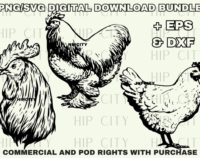 Angry Chicken Svg, Angry Chicken Png, Angry Chicken Dxf, Hen Png, Hen ...