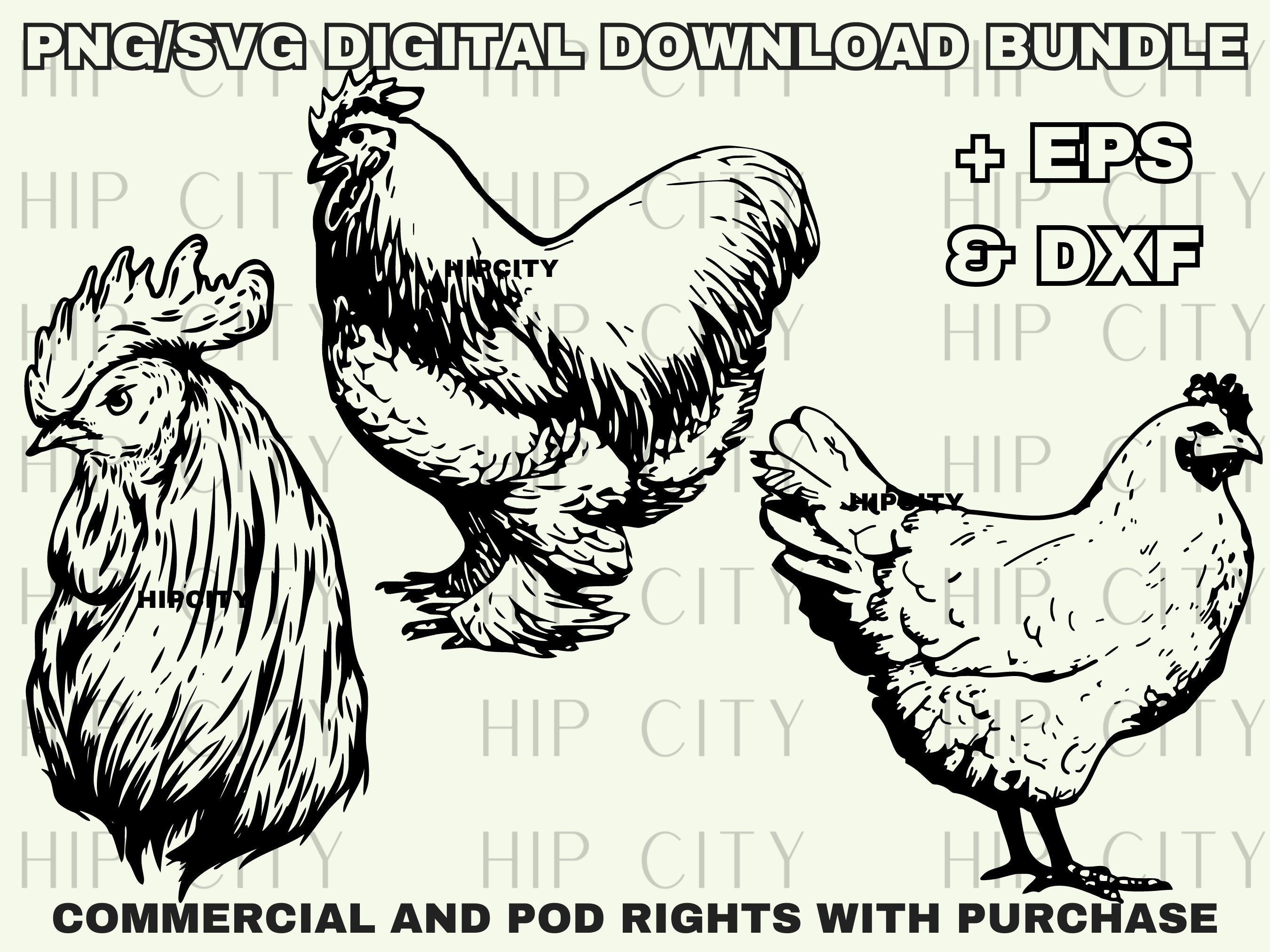 Chicken Svg Chicken Png Chicken Svg Files For Cricut Chicken Svg Bundle Chicken Png Bundle