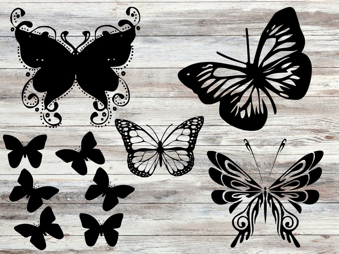 Butterfly SVG, Butterfly SVG Bundle, Butterflies, Butterfly SVG for ...