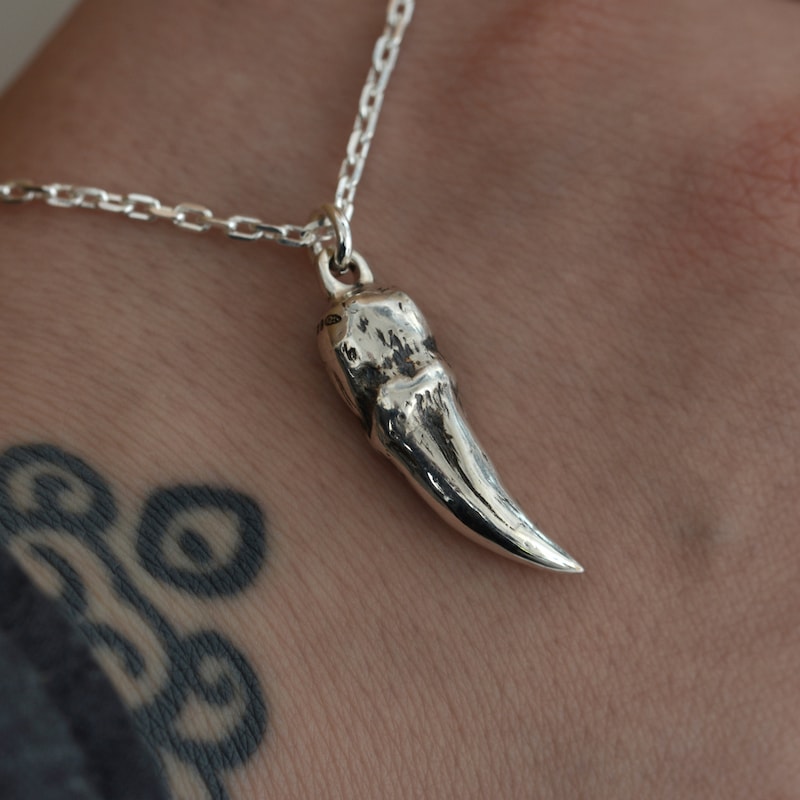 Real Wolf Tooth Necklace - Etsy