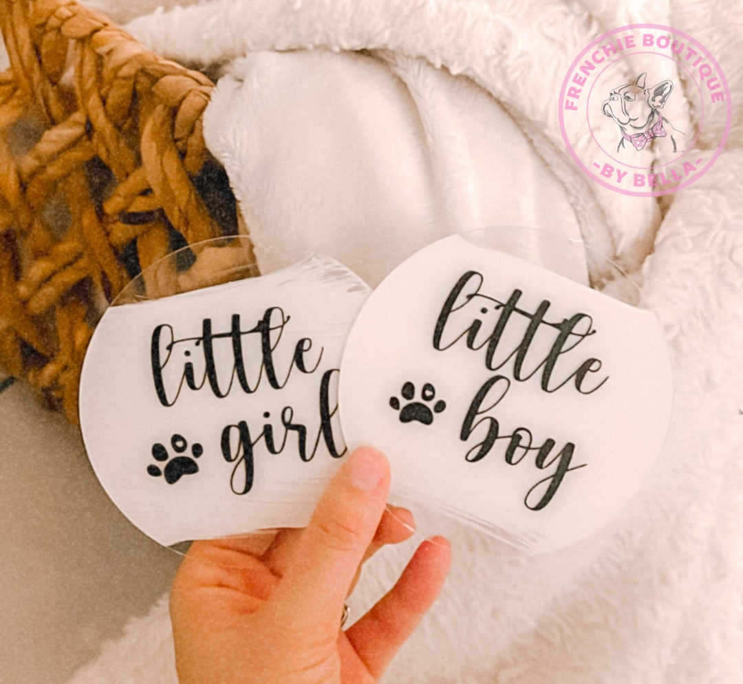 Breeder Puppy Milestone Photo Prop Puppy Milestones Disc Set for New ...