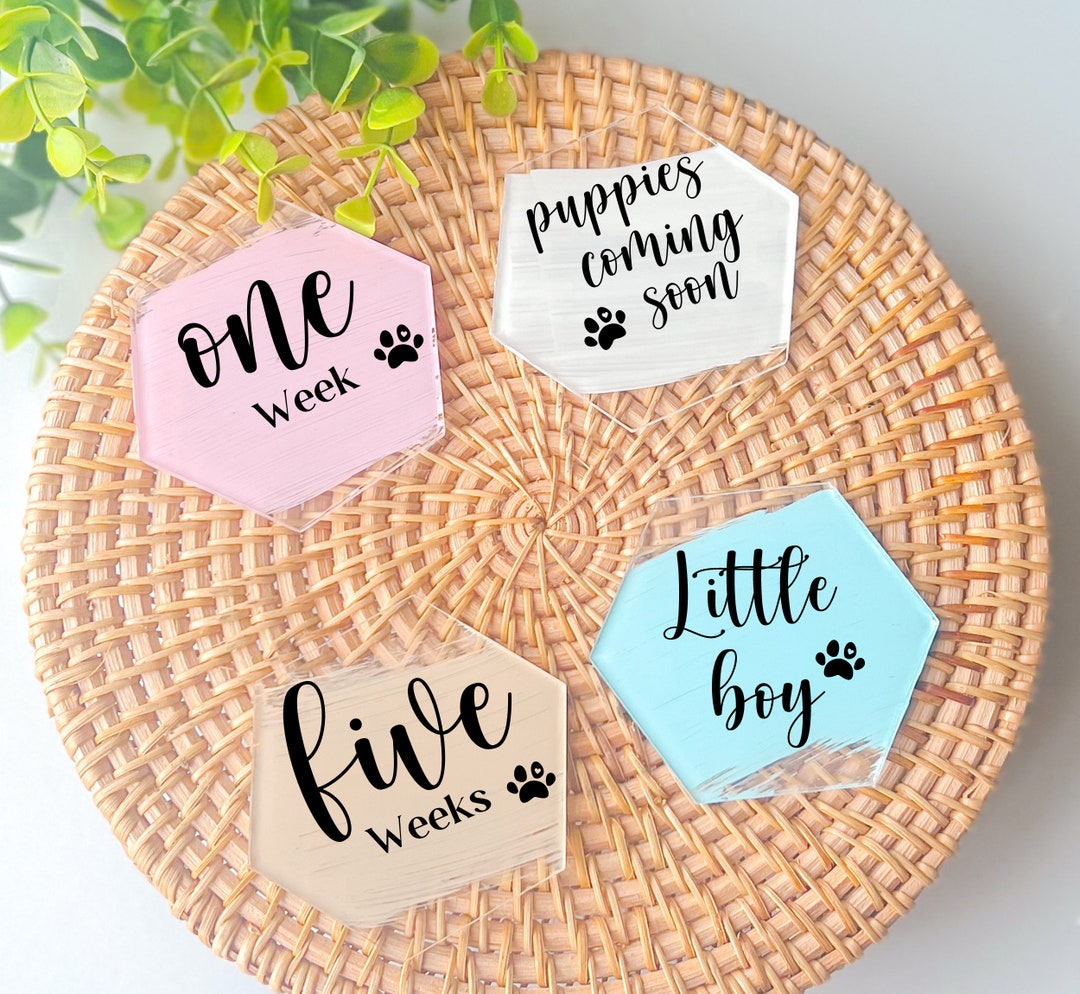 Breeder Weekly Puppy Kitten and Baby Milestones Update With Clear ...