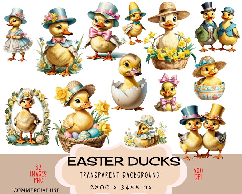 Easter Ducks CLIPART PNG Files Commercial Use Transparent Background ...