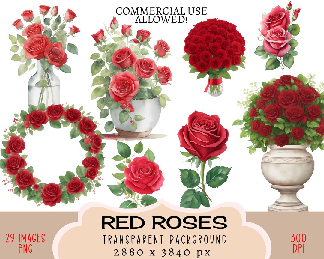 Red Roses CLIPART PNG Files, Commercial Use, Transparent Background ...