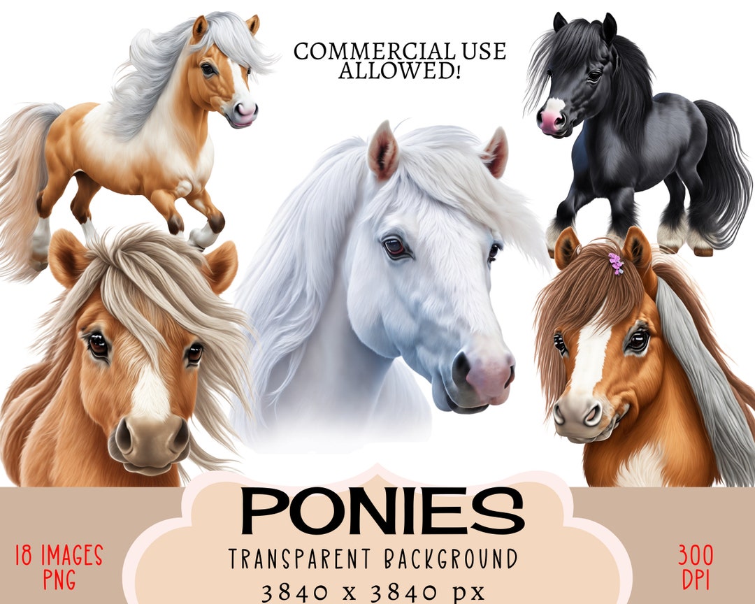 Ponies CLIPART PNG Files, Commercial Use, Transparent Background Small ...