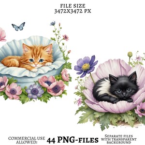 Cats in Flowers CLIPART PNG Files Commercial Use Transparent Background ...